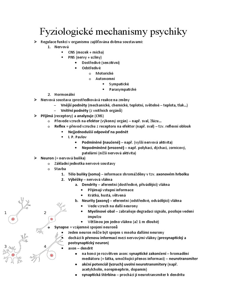 Fyziologické Mechanismy Psychiky | PDF