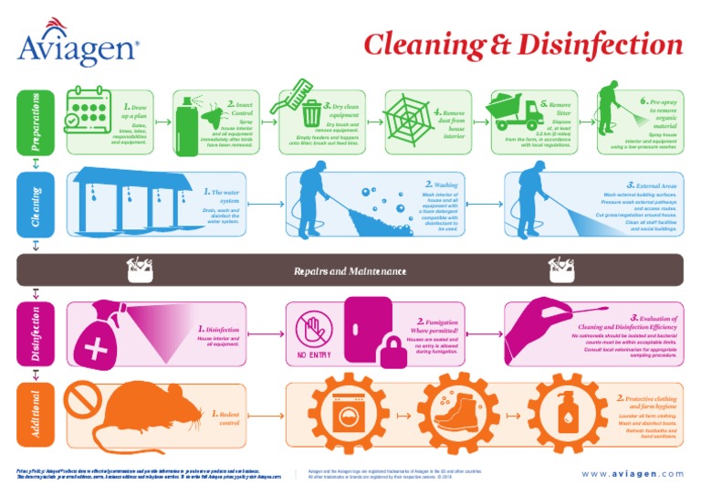 Poster Aviagen Cleaning Disinfection 19 EN | Download Free PDF ...
