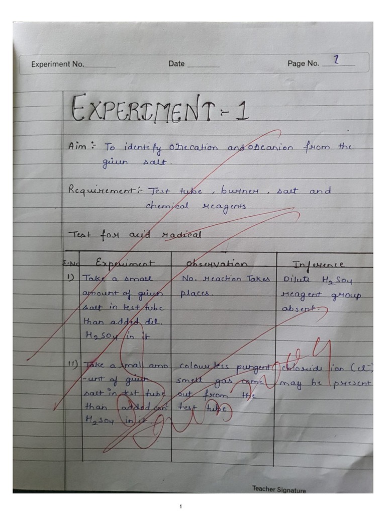 Chemistry Practical 2022 | PDF