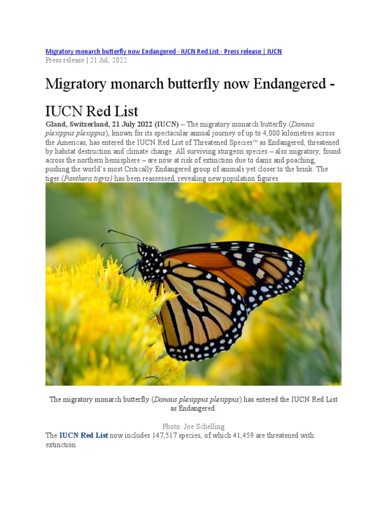 Article - Migratory Monarch Butterfly Now Endangered - Iucn Red List ...