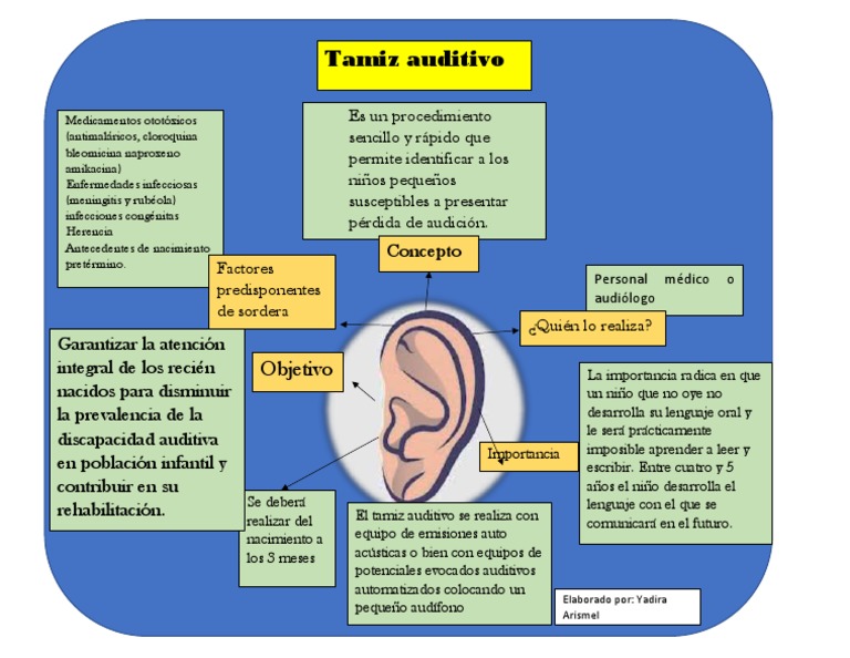 Tamiz Auditivo | PDF | Medicina | Neurología Tamiz Auditivo | PDF | Medicina | Neurología