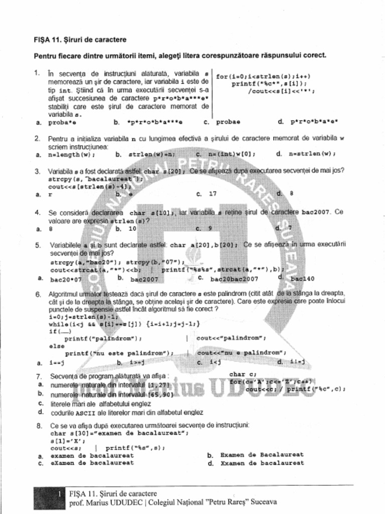 Fisa 11 Siruri de Caractere | PDF