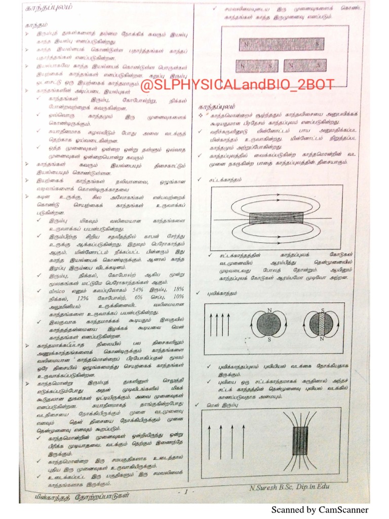 Magnetic Field | PDF