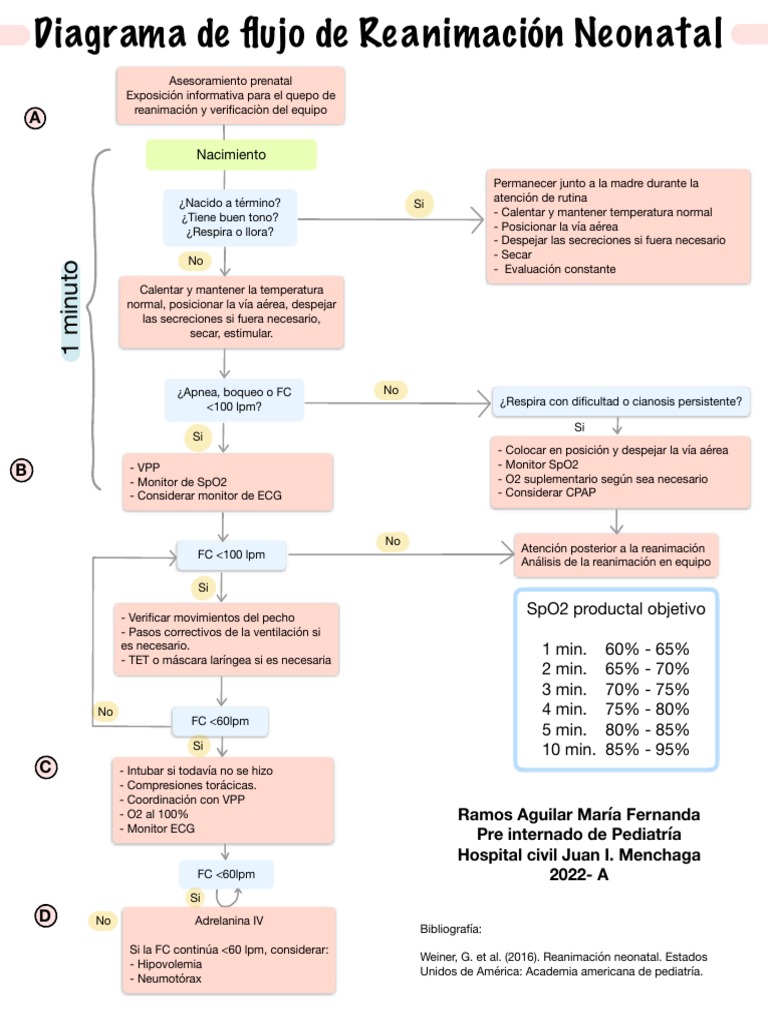Esquema de Reanimación Neonatal | PDF | Reanimación cardiopulmonar | Procedimientos médicos