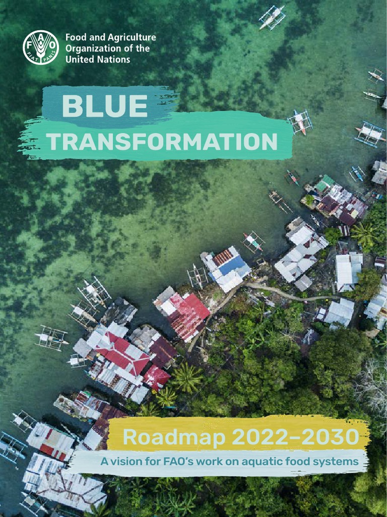 Blue Transformation A Vision For Faos Work On Aquatic Food Systems ...
