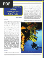 NAUI Nitrox Tables | PDF | Equipment | Underwater Diving