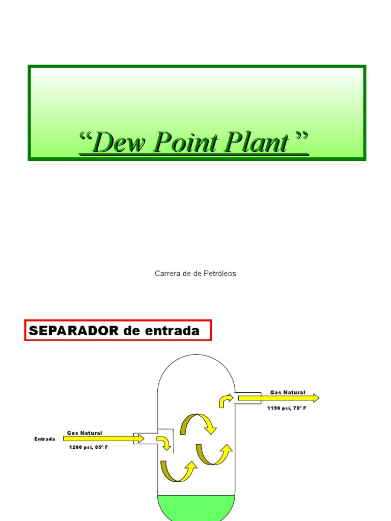 Dew Point Plant Yapacani | Descargar gratis PDF | Gas natural ...