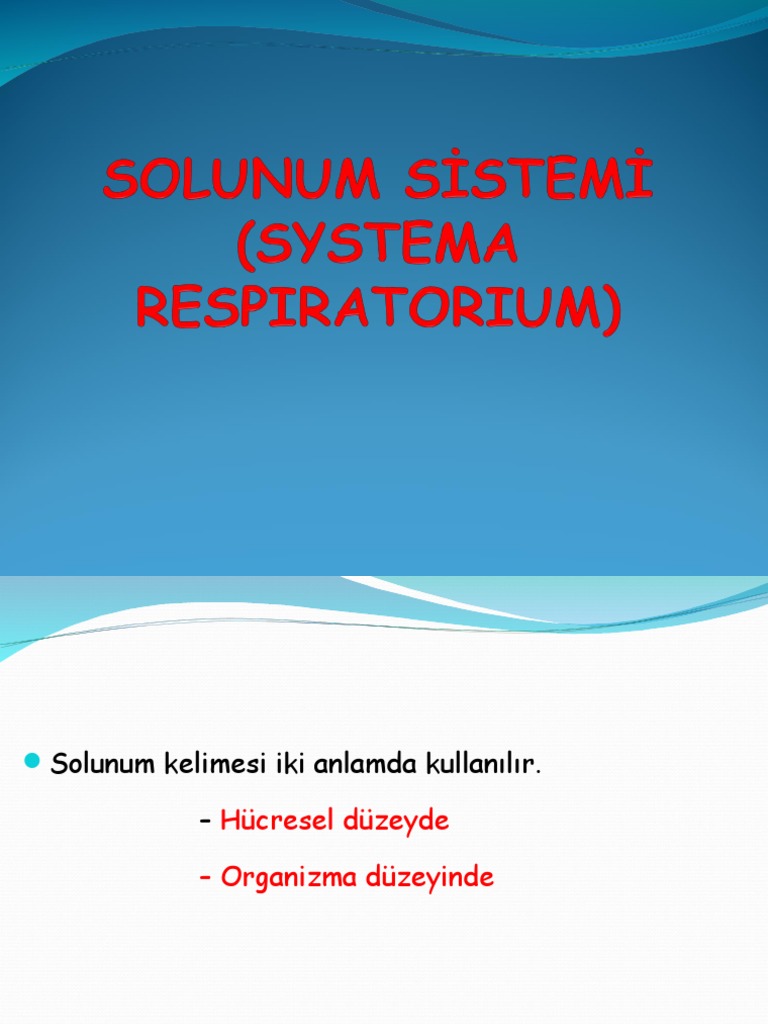 Solunum Fiz | PDF