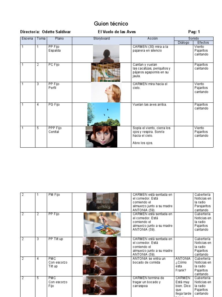 Guion Técnico | PDF