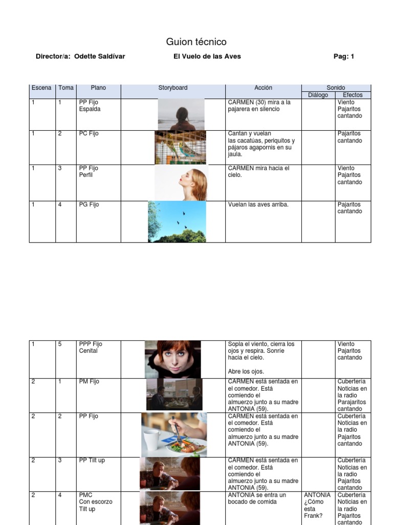 Guion Técnico | PDF