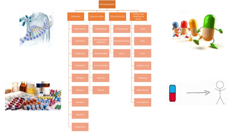 Mapa Conceptual 3 | PDF
