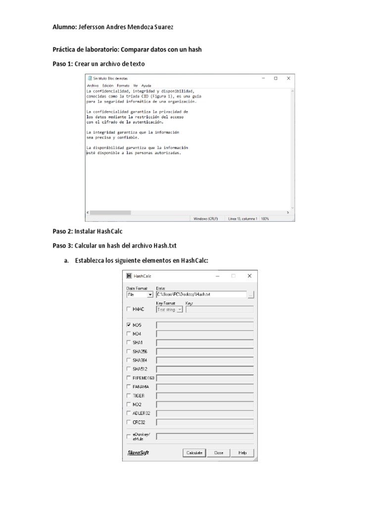 1.2.1.3 Práctica de Laboratorio Comparar Datos Con Un Hash | PDF