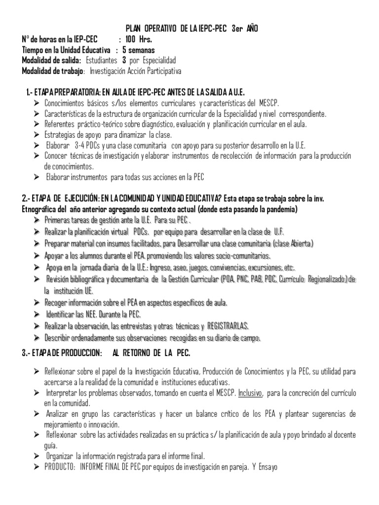 POA Y ESTRUCTURA DE INFORME 3er Año IEPC-PEC | PDF | Plan de estudios