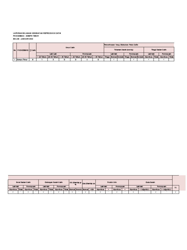 Format Laporan Catin 2022-3-1 | PDF