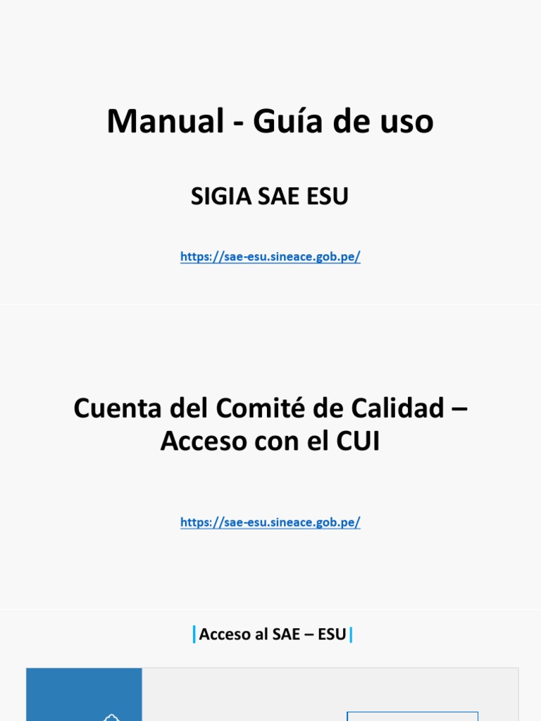 Guia Sae Esu | PDF | Informática