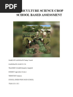 Agricultural Science - SBA MARKING SCHEME | PDF | Information | Data