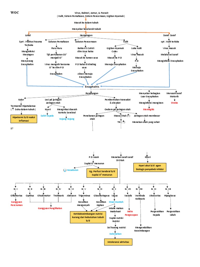 PATHWAY Ensefalitis | PDF