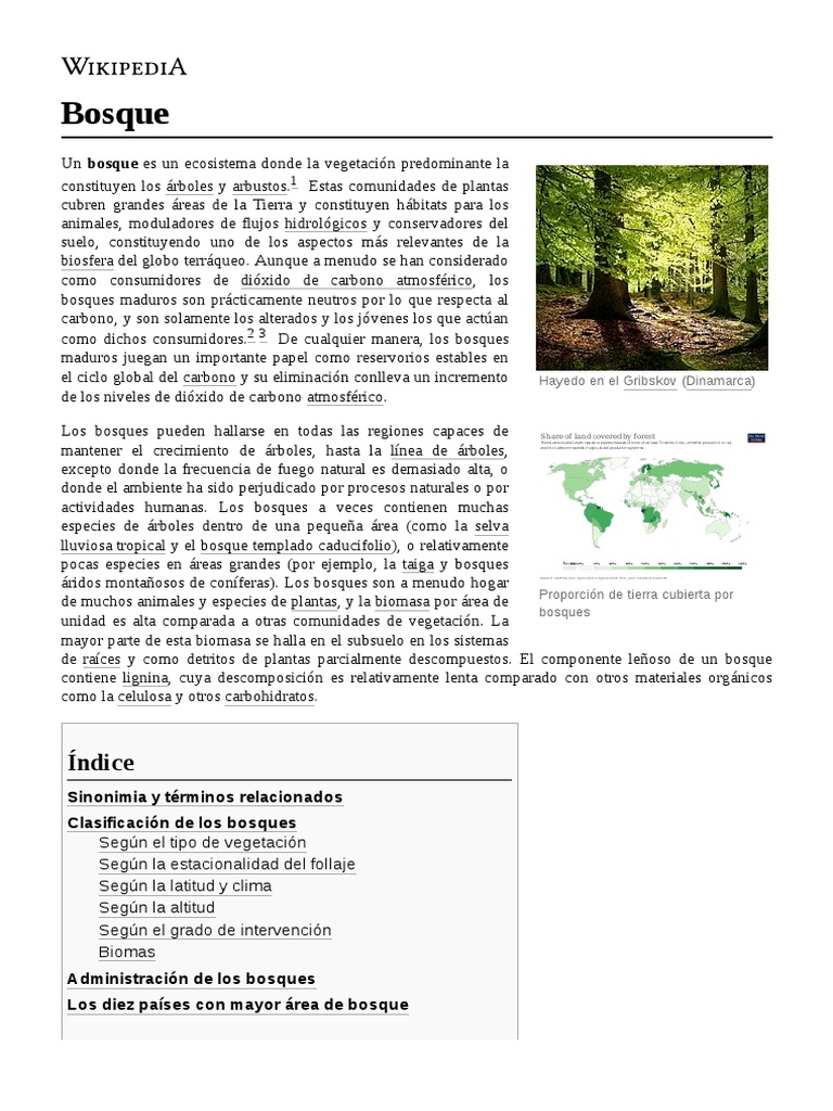 Bosque | PDF | Los bosques | Biogeografia