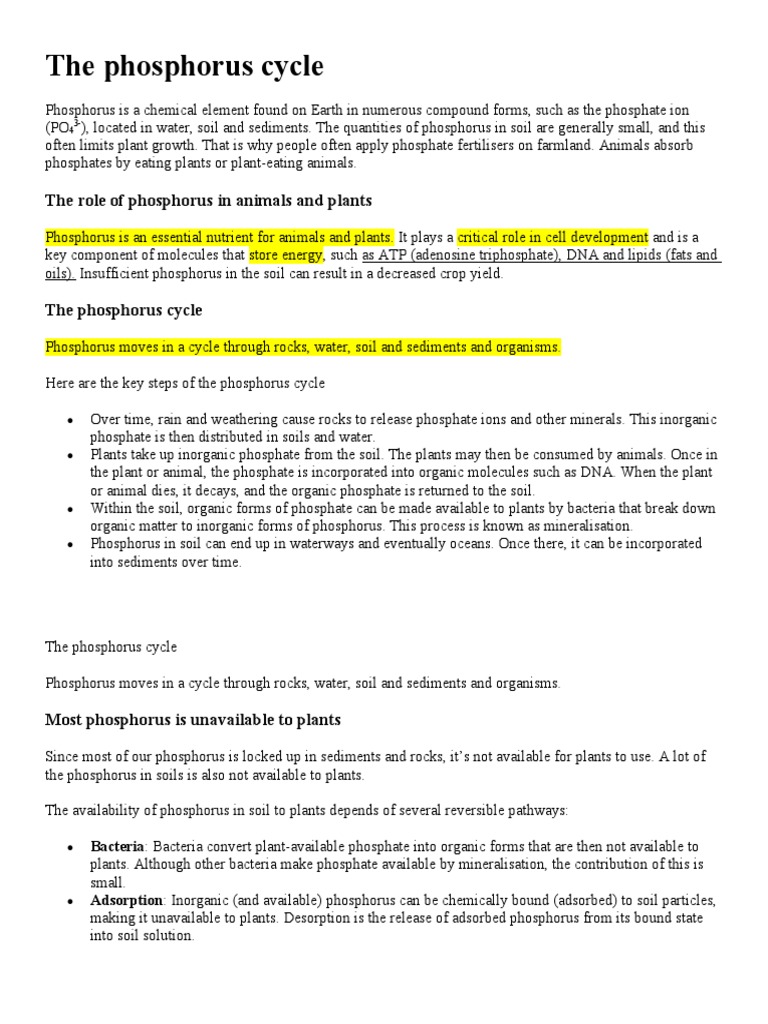 The Phosphorus Cycle | PDF | Soil | Phosphorus
