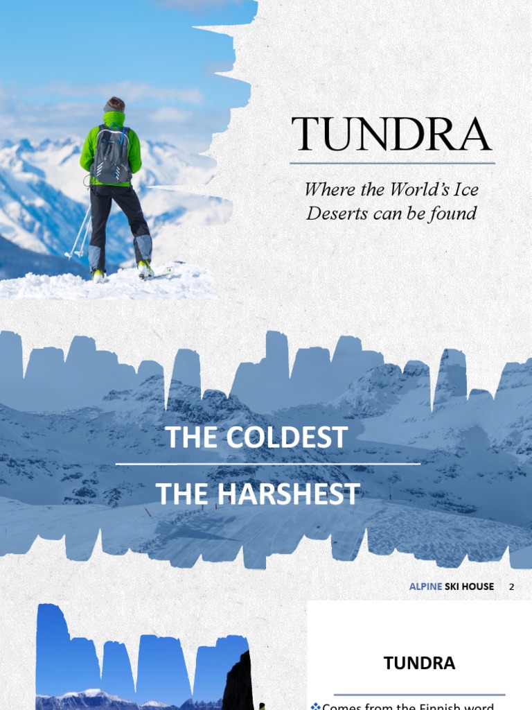 TUNDRA | PDF | Earth Sciences | Ecology