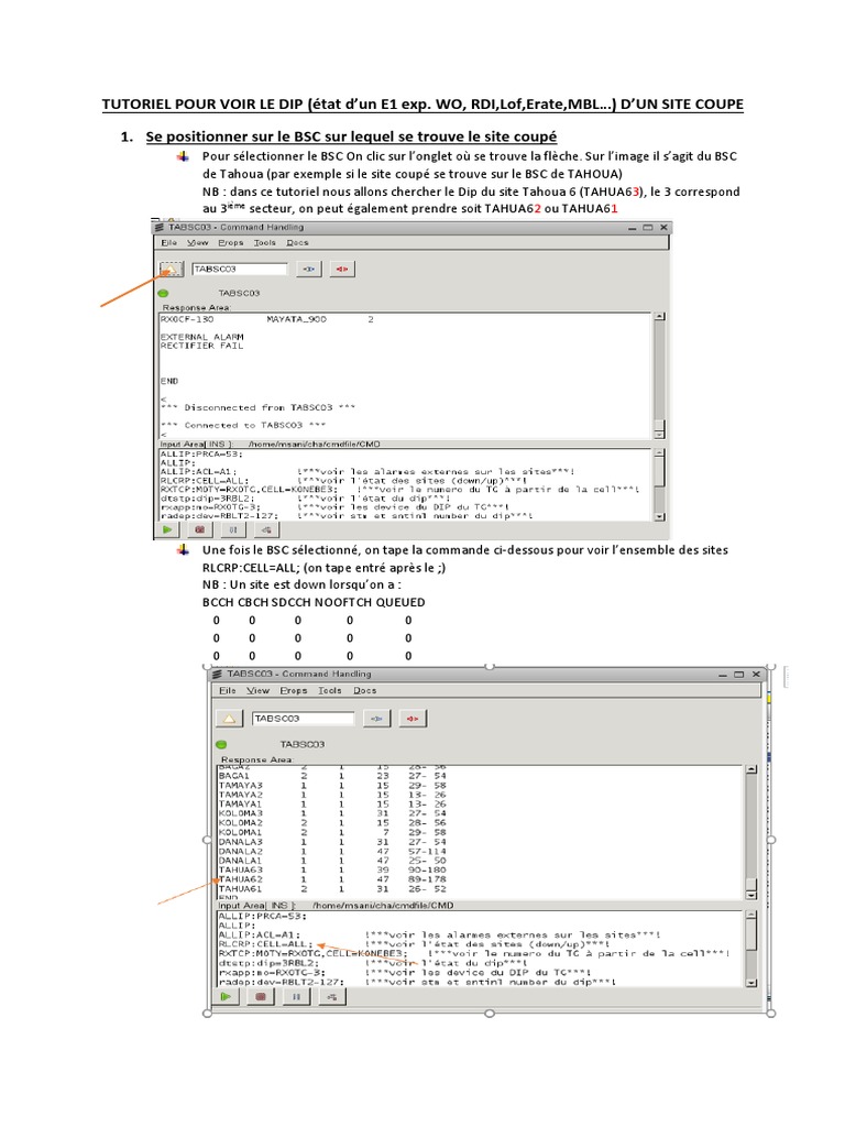 Tutoriel pour consulter le DIP d'un site E1 | PDF