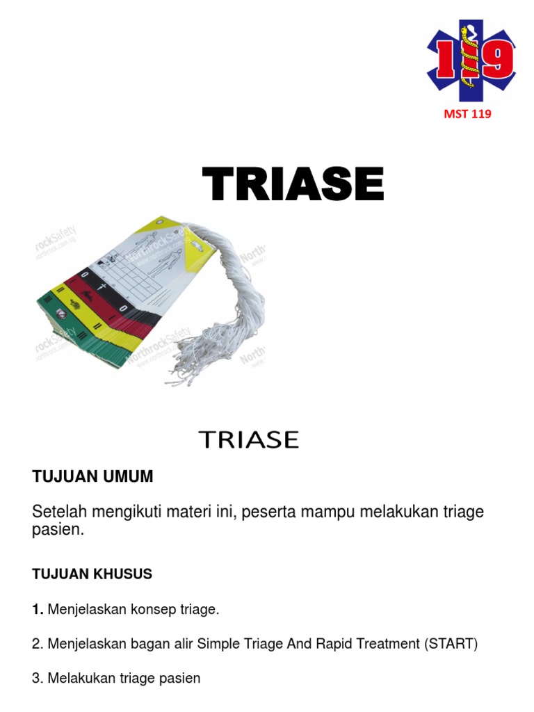 Triase 119 Update | PDF | Sains & Matematika
