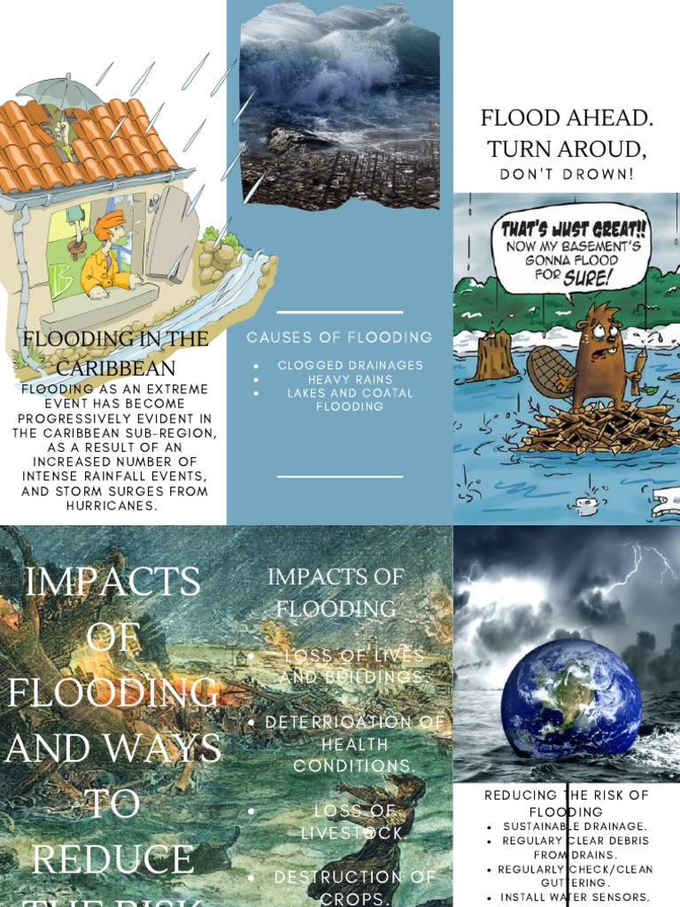 Caribbean Flood Risk Reduction | PDF