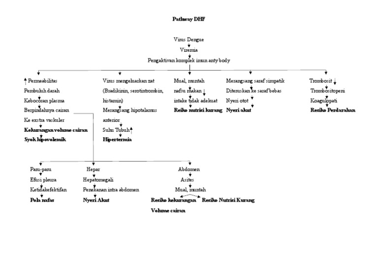 Pathway Demam Berdarah Dengue (DHF) | PDF