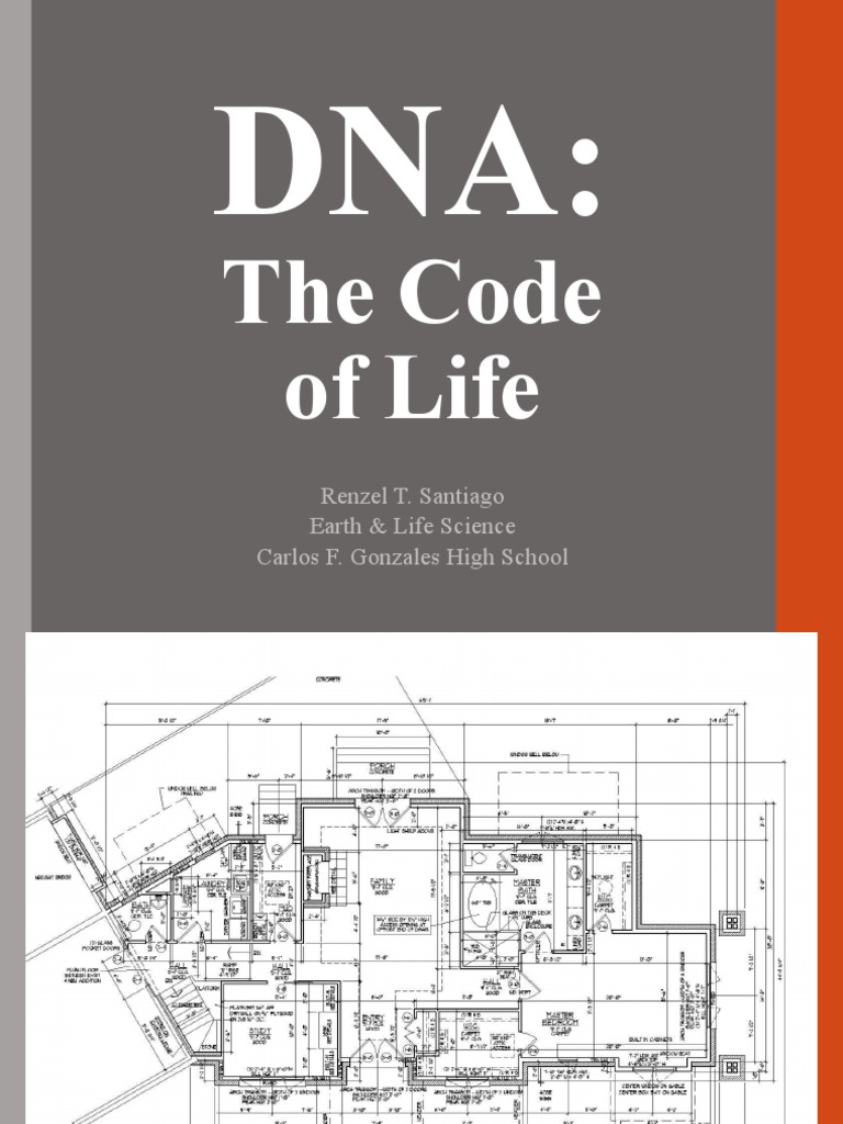 VI. DNA - The Code of Life | PDF | Dna | Rna