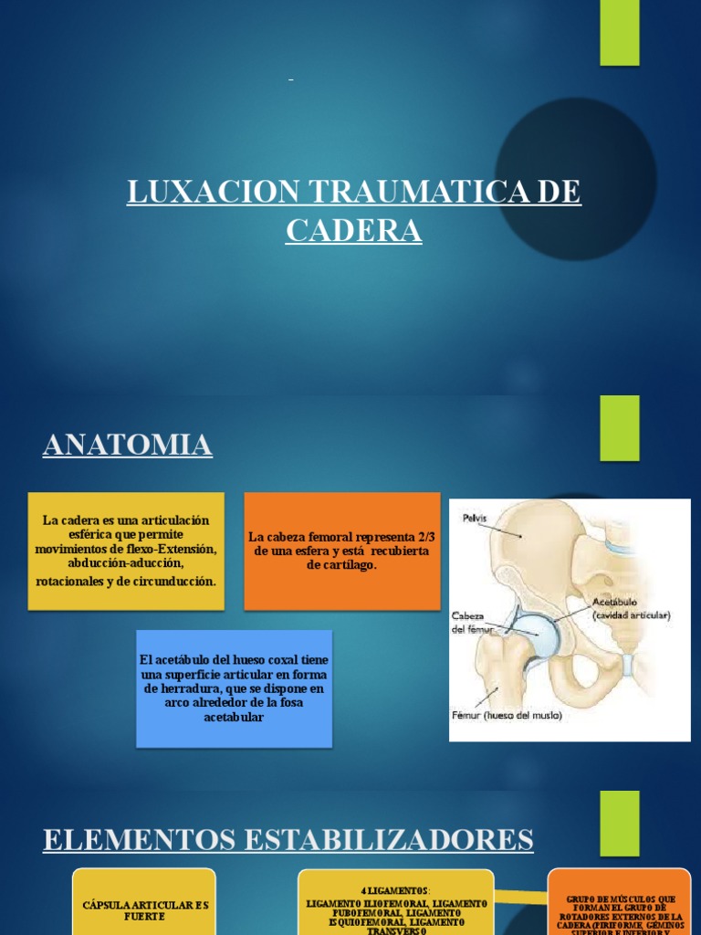 Luxación Traumática de Cadera: Anatomía y Tratamiento | PDF | Rodilla | Articulación