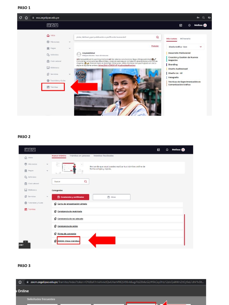 Pasos para Subir Certificado en Sae Ipae | PDF