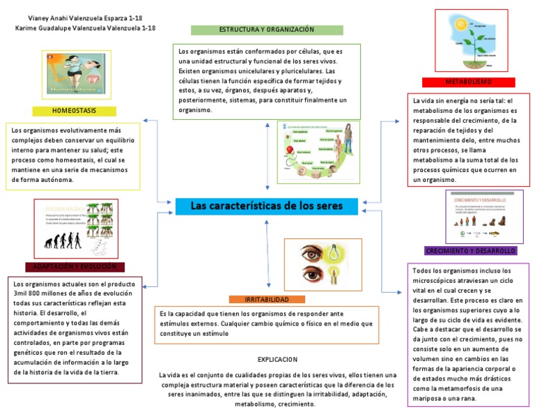 VAVE Act03 | PDF | Organismos | Vida
