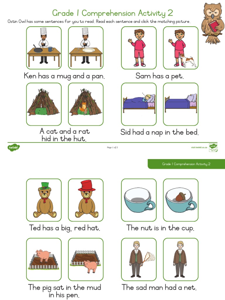 Grade 1 Comprehension Activity 2 | PDF
