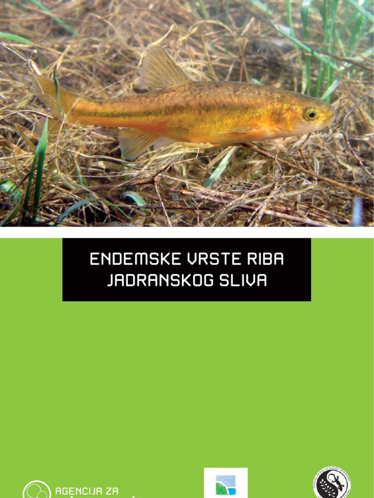 Endemske_vrste_riba_web.indd[1]