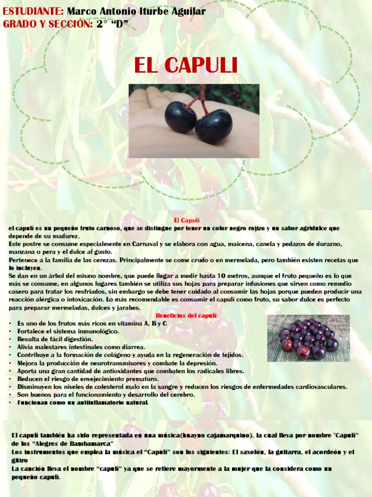 Texto Capulí Marco Antonio | PDF