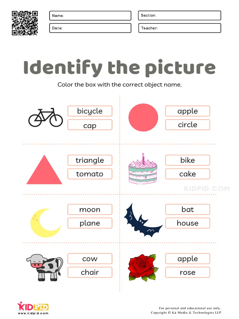 Identifying Objects Words Foundational Worksheet | PDF