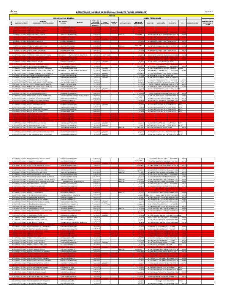 Matriz General de Personal Copachisa 2 | PDF