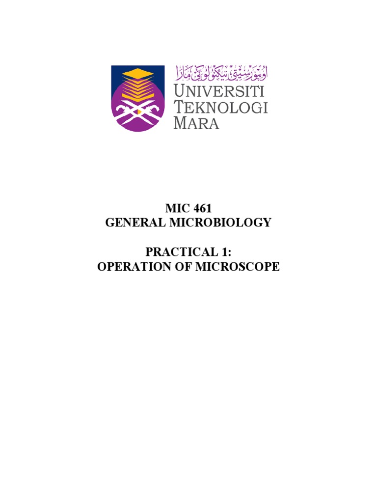 Lab Report Mic461 | PDF | Glass Engineering And Science | Optics