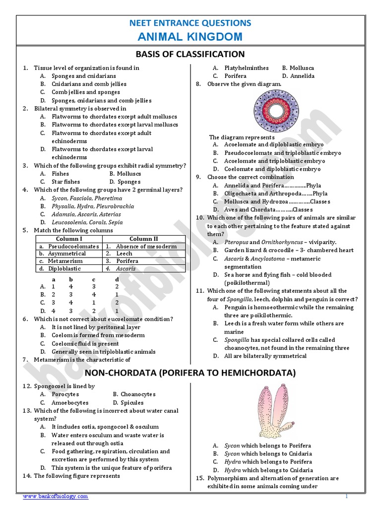 4 Animal Kingdom - Entrance Questions | PDF | Organisms | Zoology