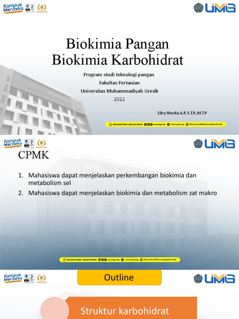 Biokimia Karbohidrat | PDF