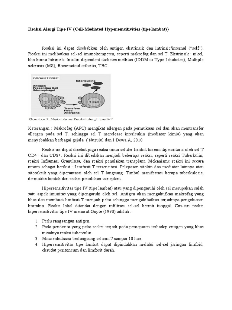 Reaksi Alergi Tipe IV dan Mekanismenya | PDF