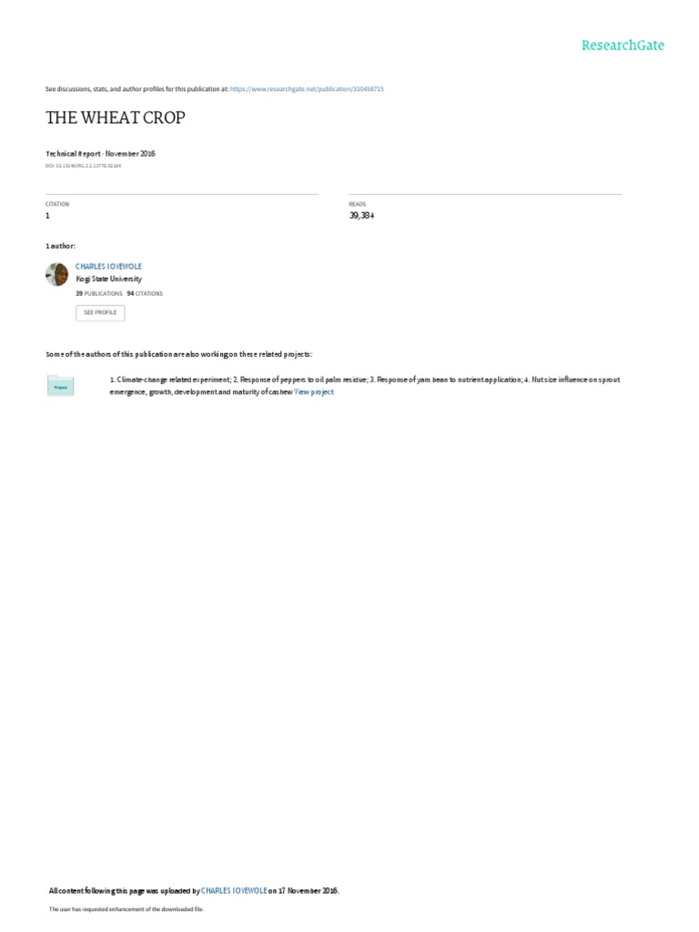 WHEAT | PDF | Wheat | Flour