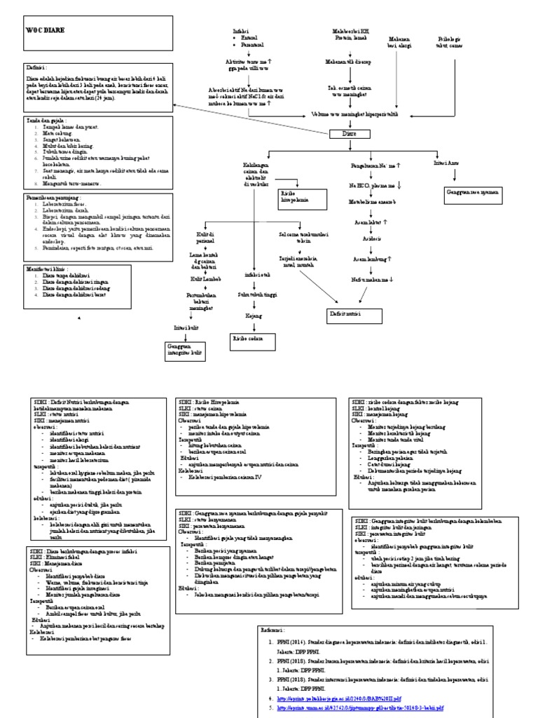 Woc Diare - Wisma | PDF