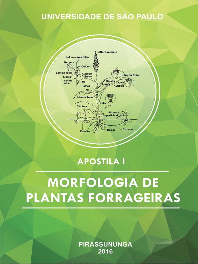 Apostila - Morfologia de Plantas Forrageiras | PDF | Raiz | Taxonomia ...