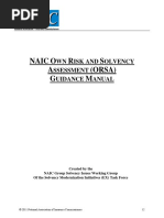 The 12 Page ORSA | PDF | Risk | Risk Management