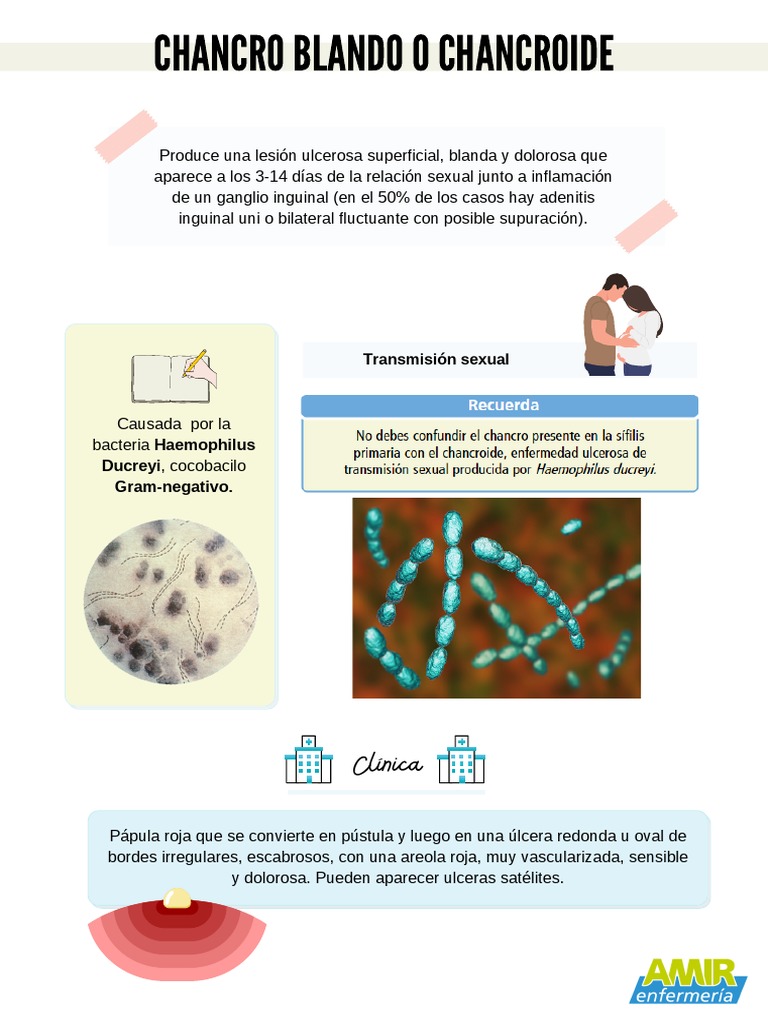 Chancro blando o chancroide %28EIR 53 2020%29 | PDF