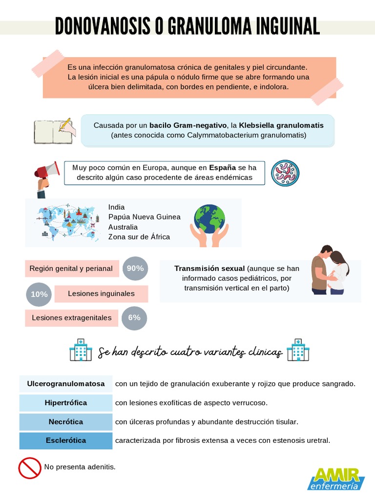 Donovanosis o Granuloma Inguinal (EIR 53 2020) | PDF