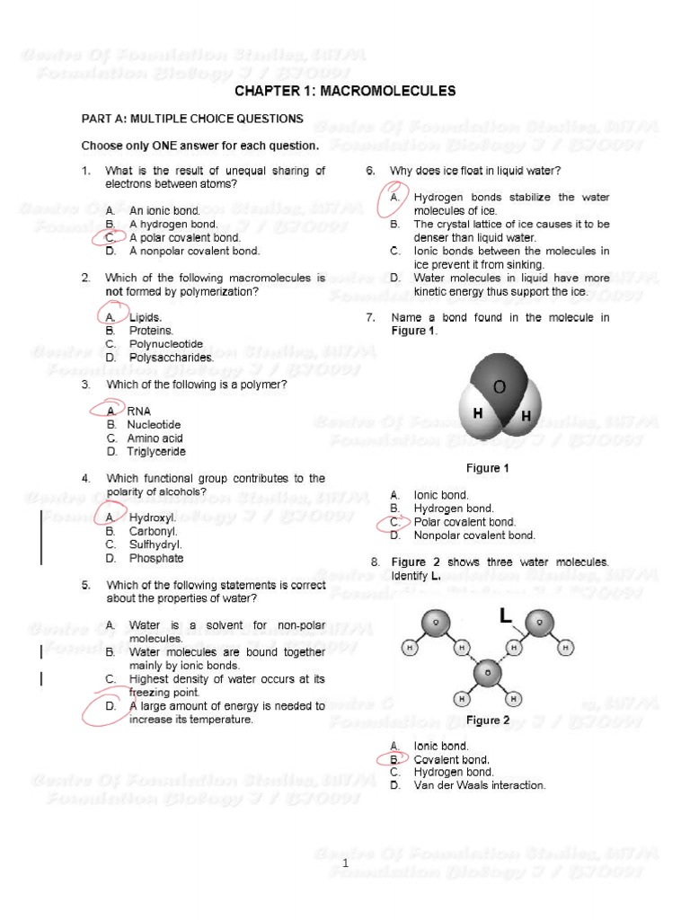 Model Answer Work Book 2021 Pdf