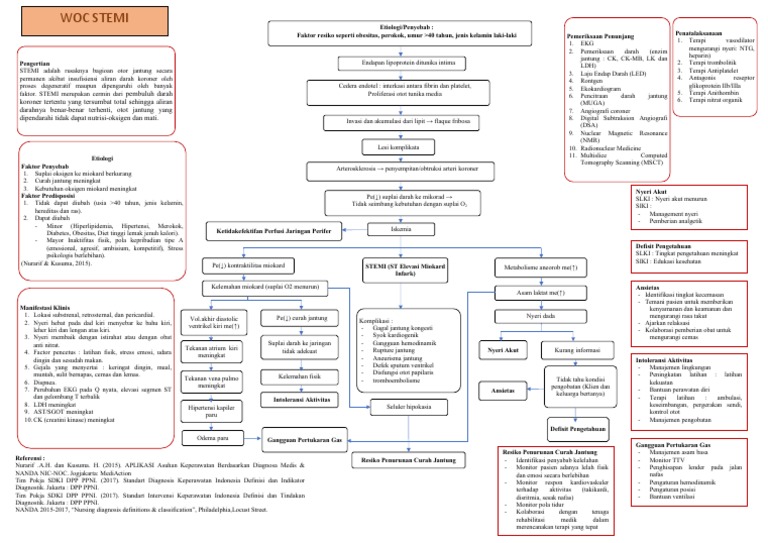 Woc Stemi Fix - Sammy | PDF