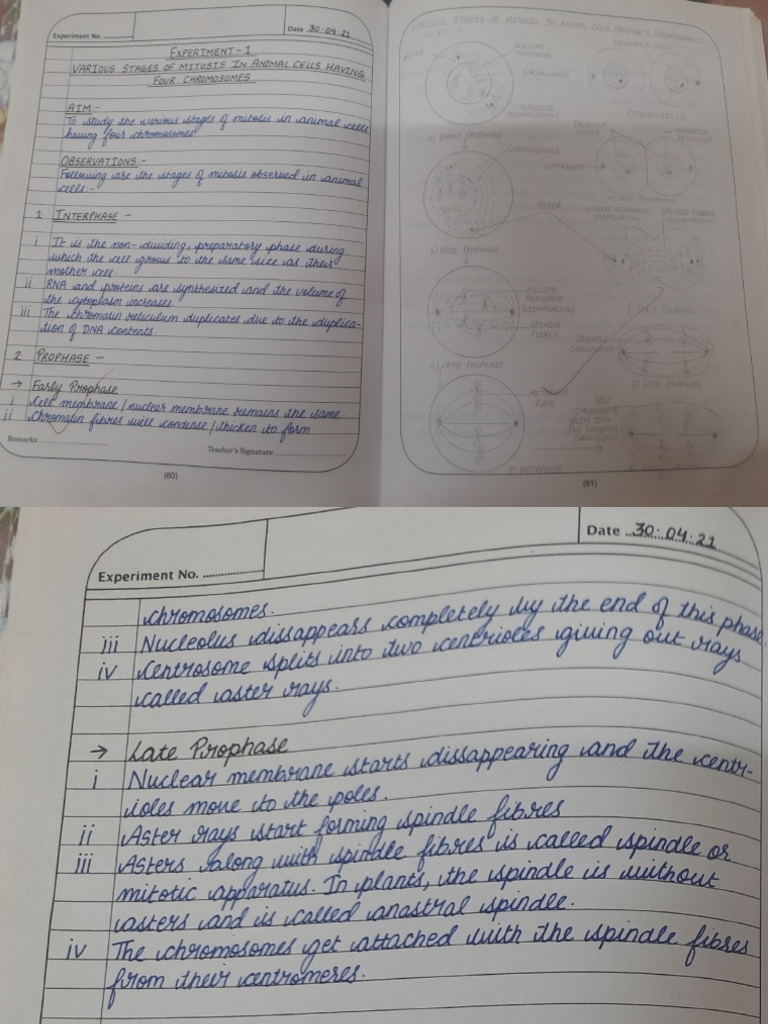 Biology Lab Manual | PDF